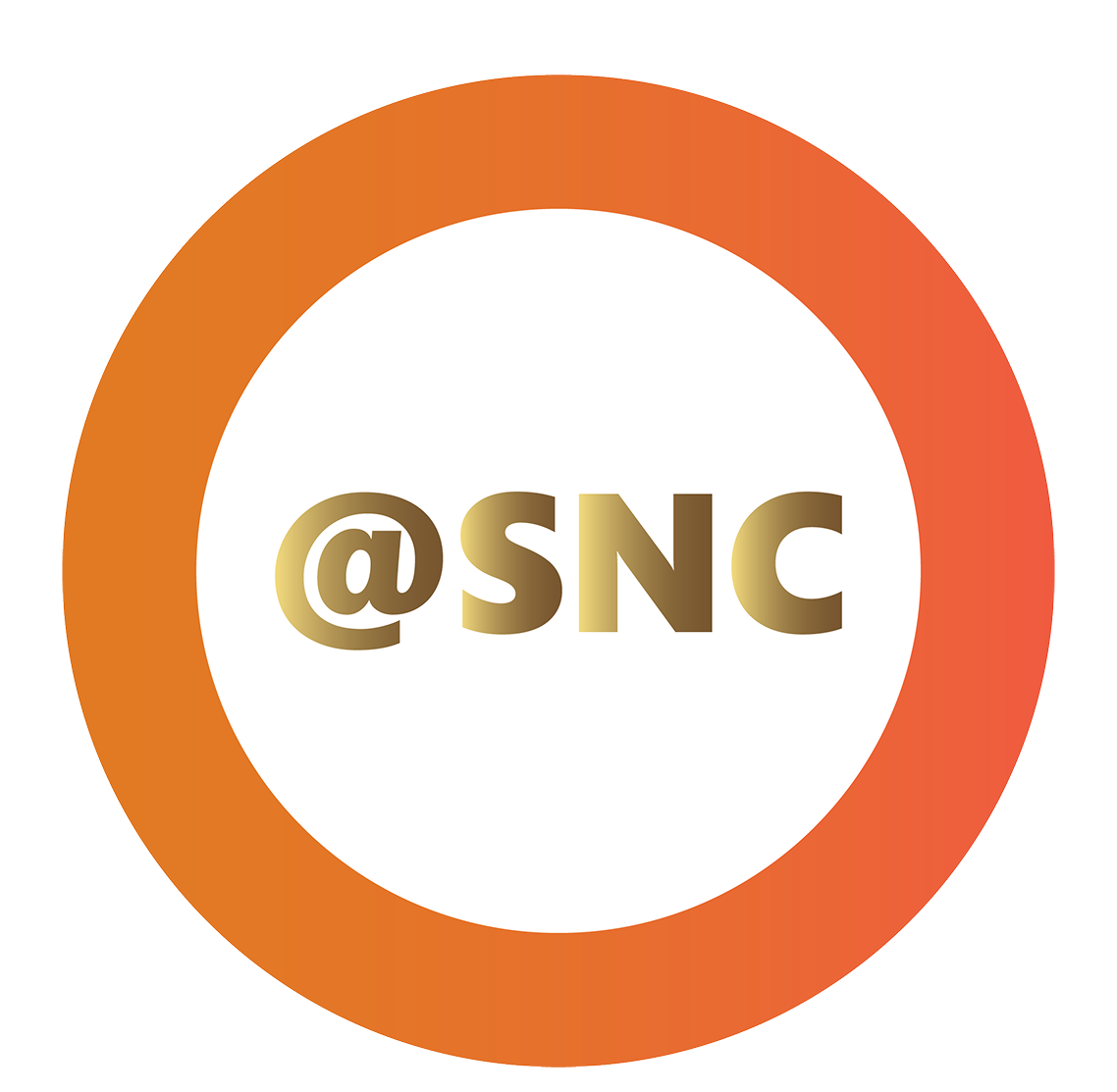 Best Software Companies In Chetpet Chennai - @SNC FLRTD Universe